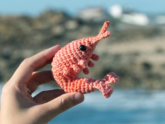 No-Sew Shrimp Crochet Pattern - Easy Amigurumi PDF | MevvSan
